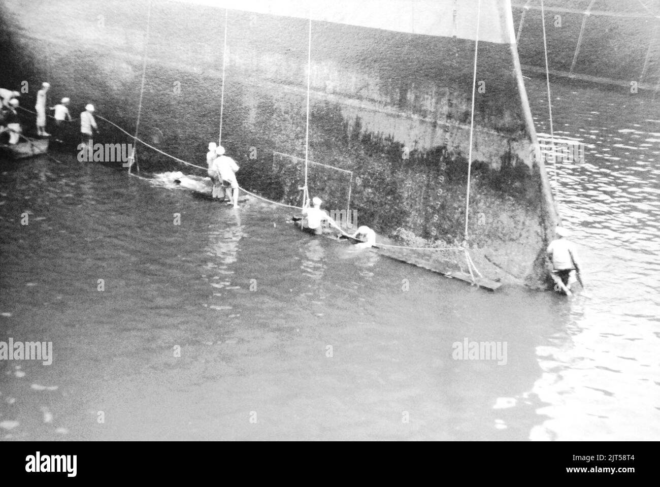 U.S. Navy sailors cleaning the hull of a battleship, Brooklyn Navy Yard ...