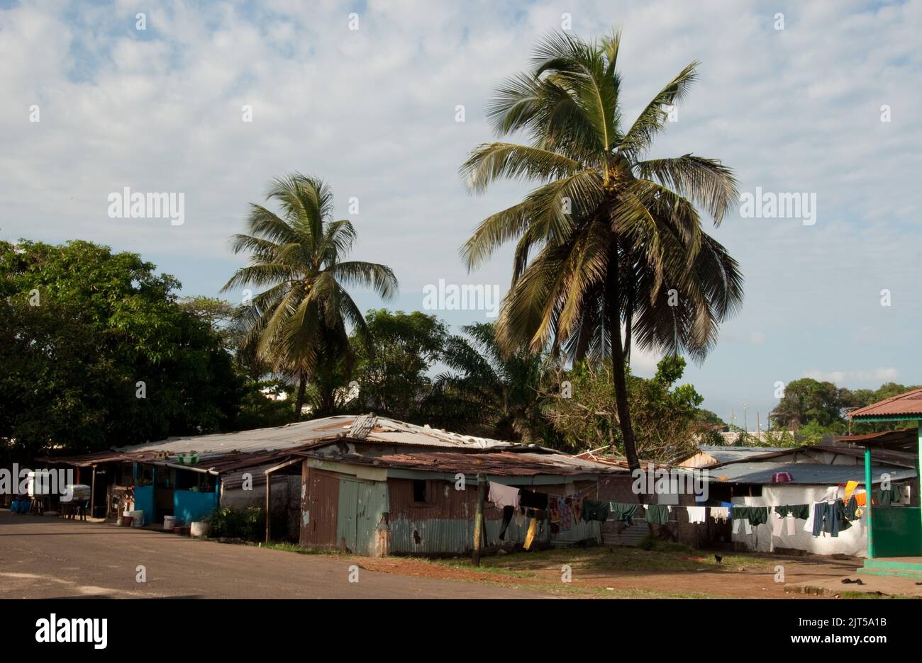 Street view, Sinkor, Monrovia, Liberia. Houses in poor condition, palm ...