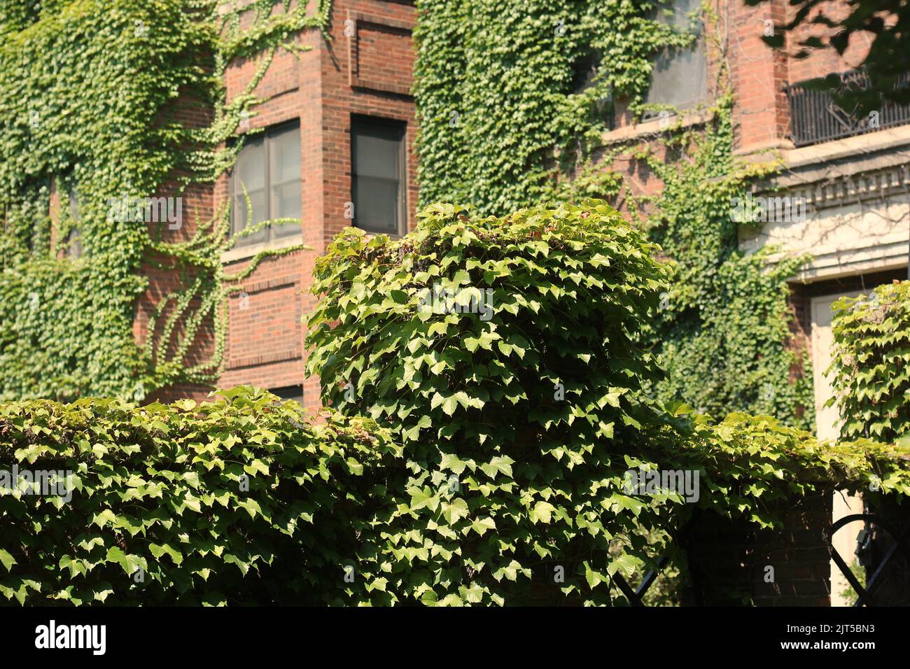 Elegant grand apartment building hi-res stock photography and images ...