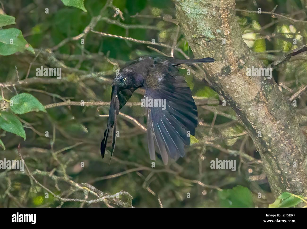 nature at work Stock Photo - Alamy