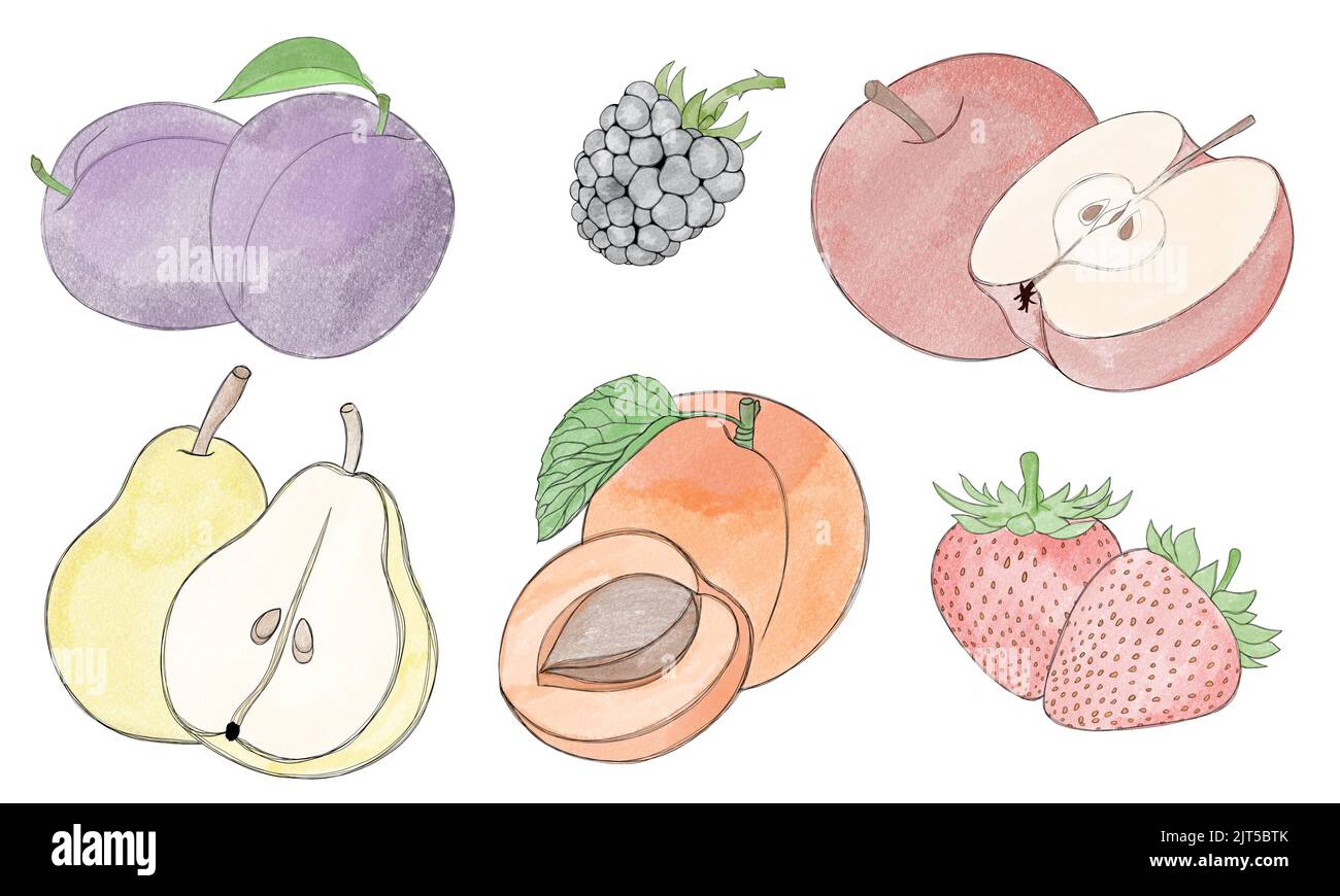 Big set of fruits and berries - hand drawn watercolor illustration ...