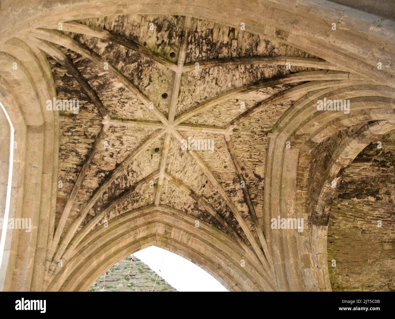 Ribbed vaulting hi-res stock photography and images - Alamy