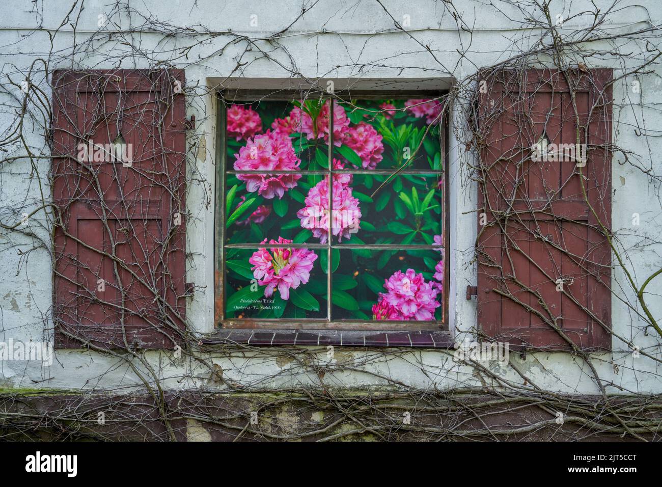 Inside the arboretum hi-res stock photography and images - Alamy