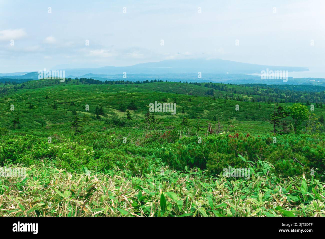 typical landscape of the southern Kuriles, view of Kunashir Island from ...