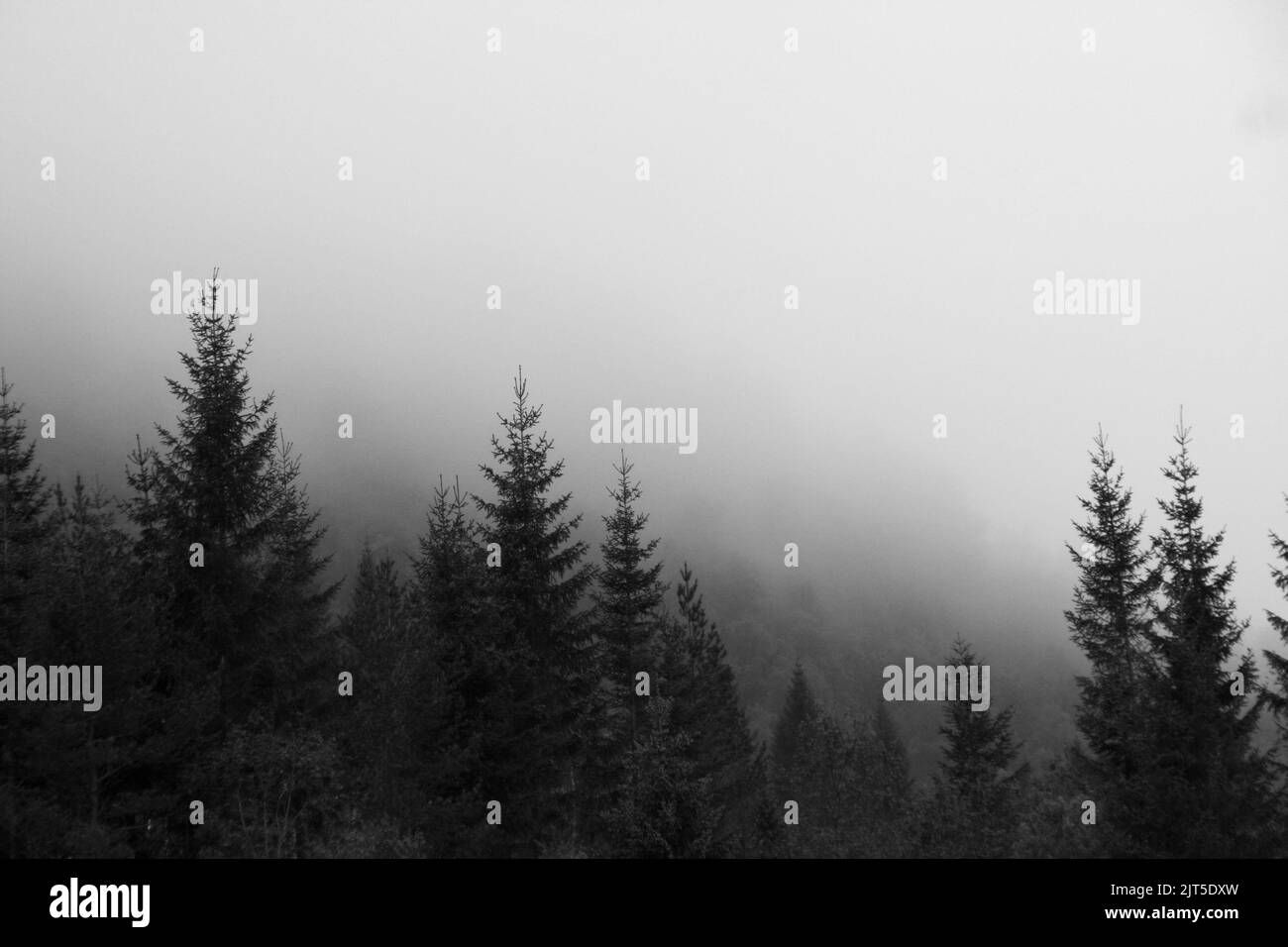 Steam weather Black and White Stock Photos & Images - Alamy