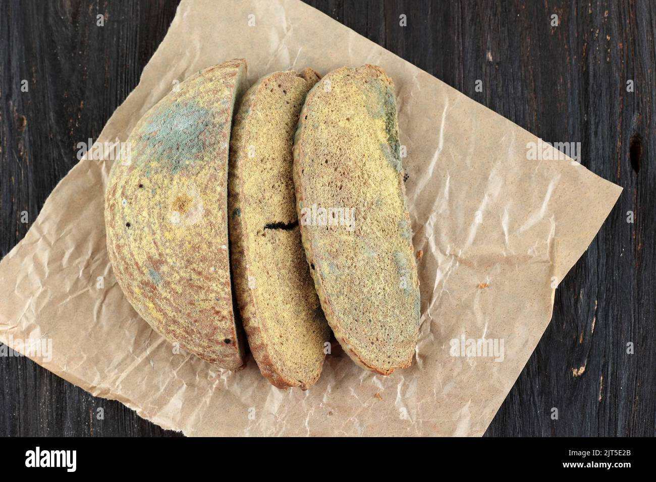 Wheat Bread Piece with Various Kinds of Mold Cutout. Moldy Fungus on ...