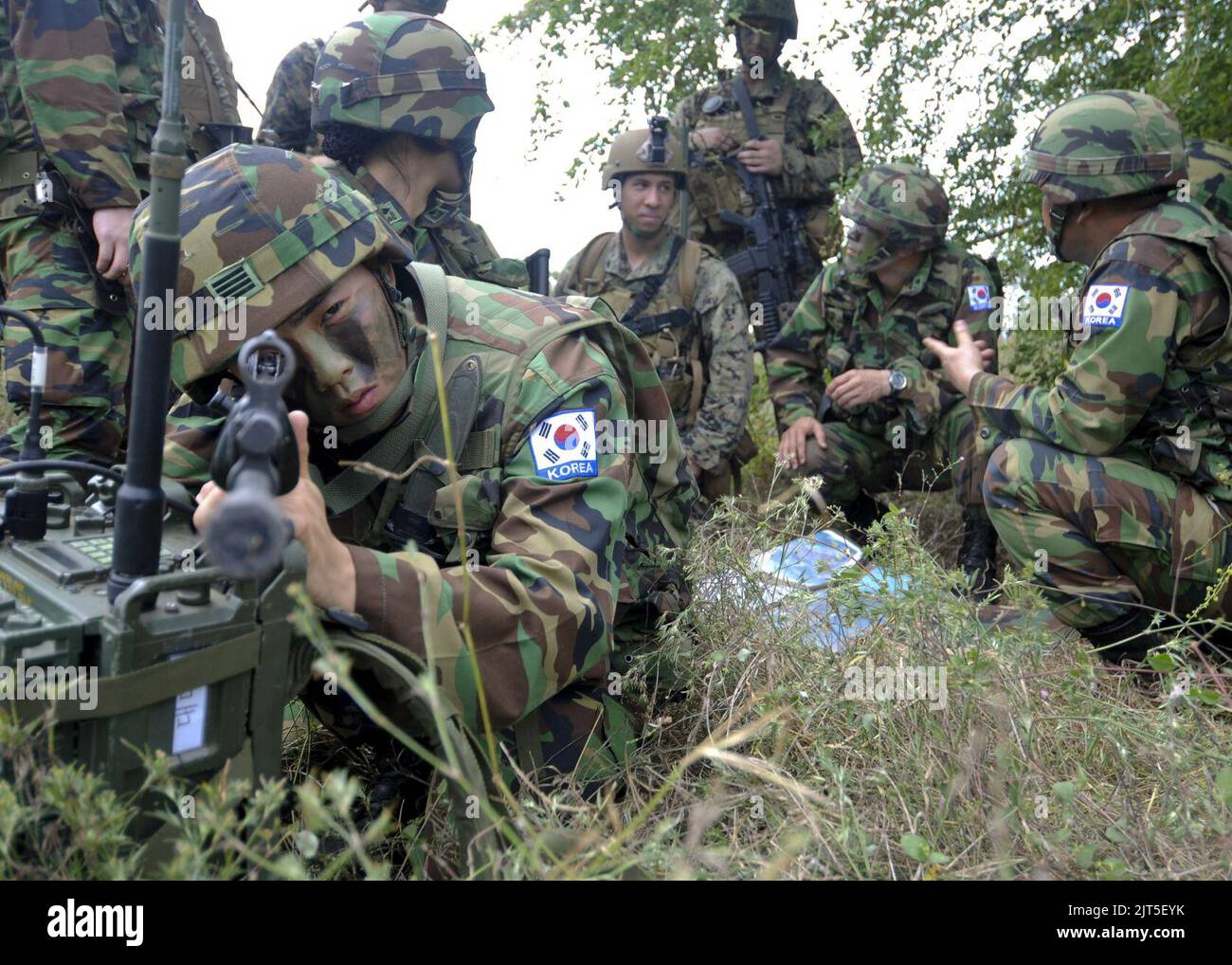 U.S., international forces conduct Cobra Gold exercise Stock Photo - Alamy