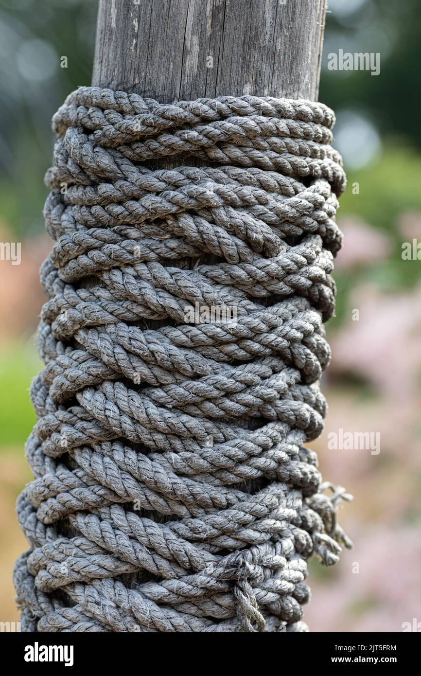 A vertical closeup of ropes tied around a wooden pole Stock Photo - Alamy