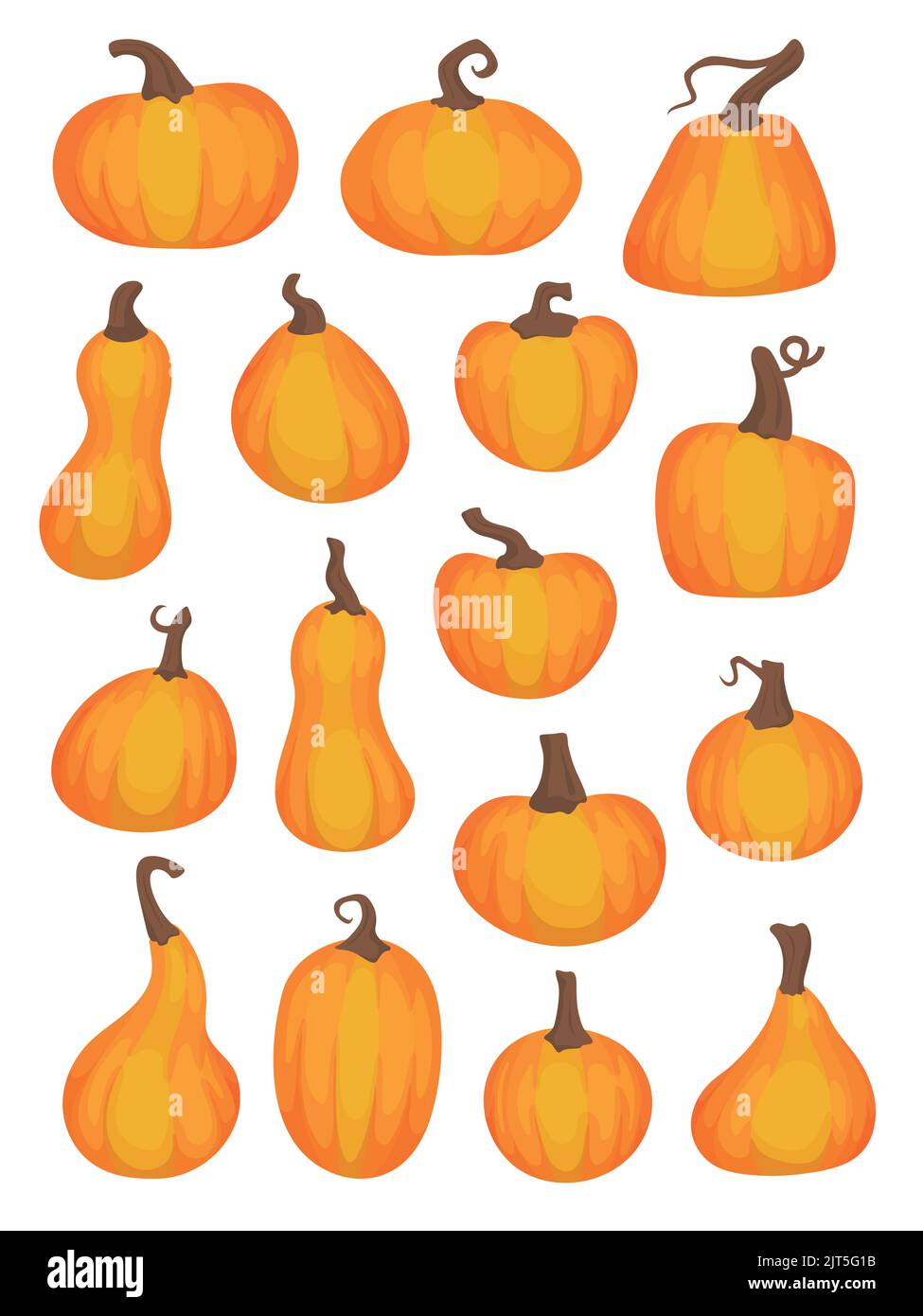 Various shaped pumpkins. Collection of hand drawn, vector illustrations ...
