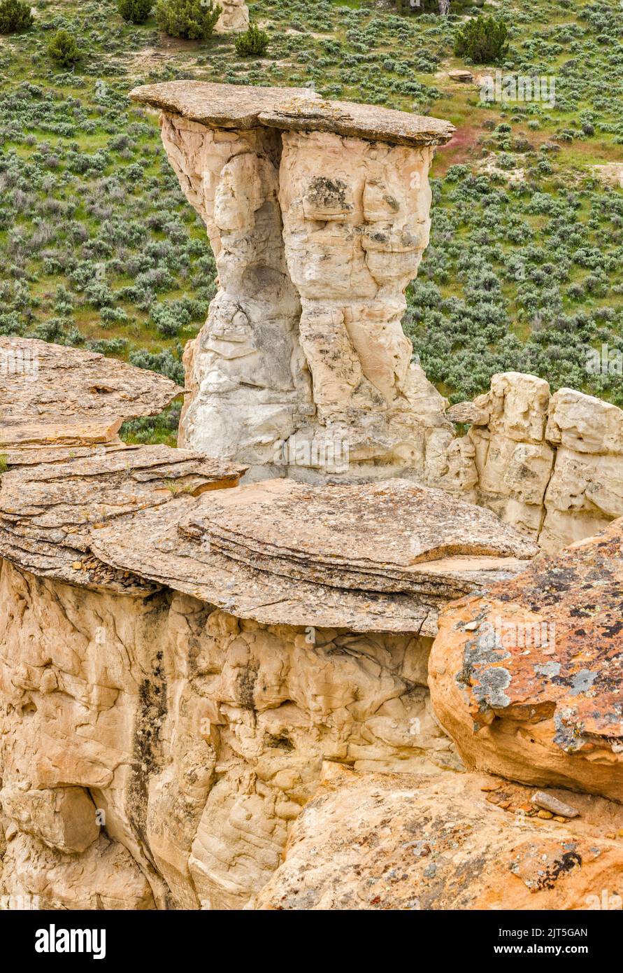 Sandstone hoodoos, Castle Gardens Scenic Area, Bighorn Basin, near town ...
