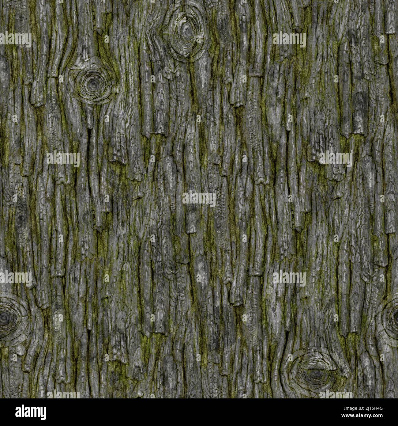 Realistic tree bark with moss seamless rendered texture background ...