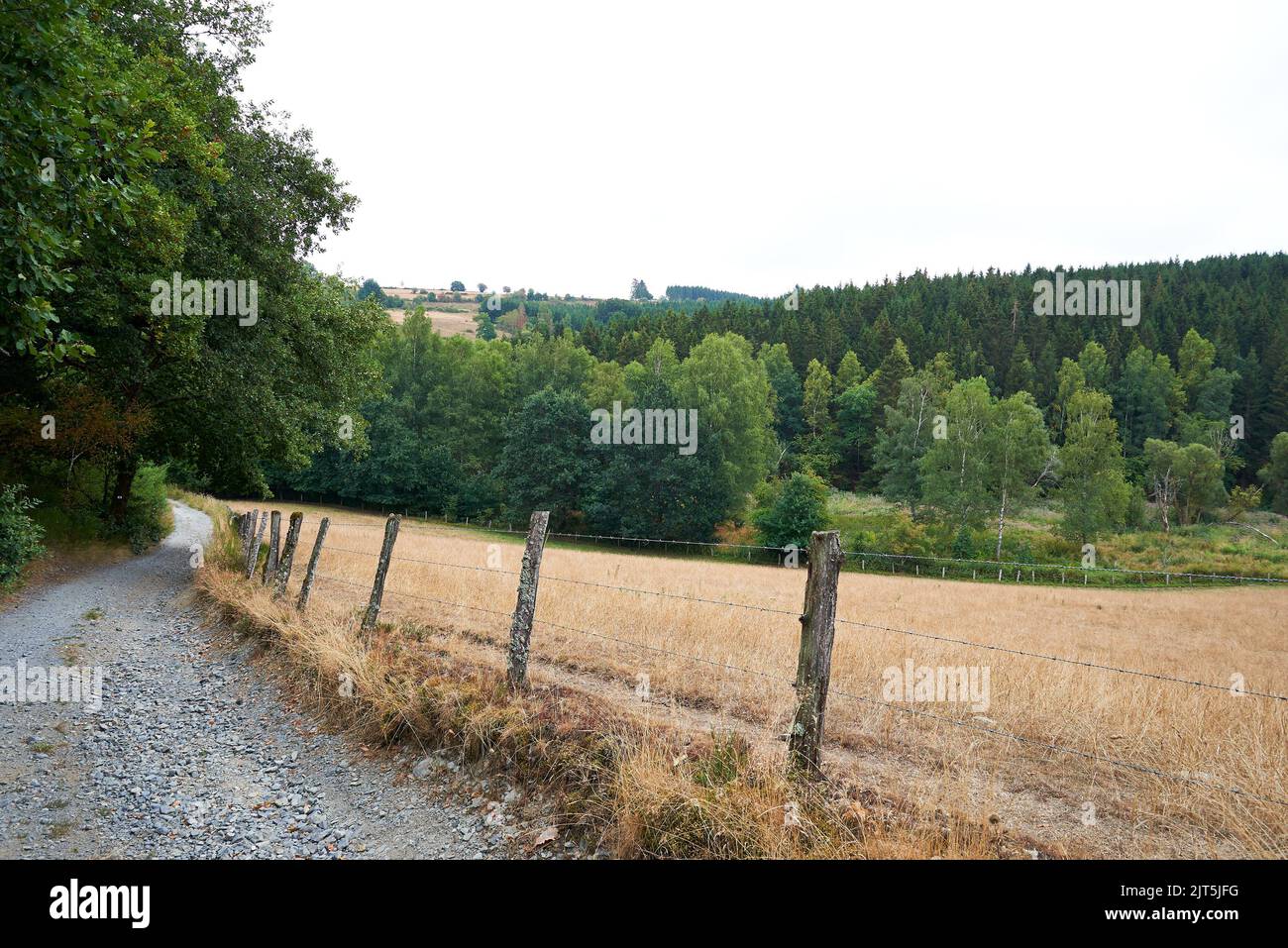 Rural path and barbed wire fence against burned meadows in Ardennes ...