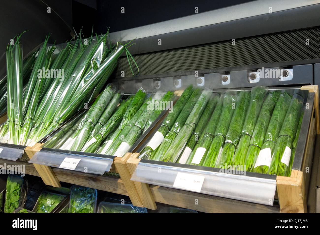 Spring Onions also known as Salad Onions, Scallions or Green Onions in ...