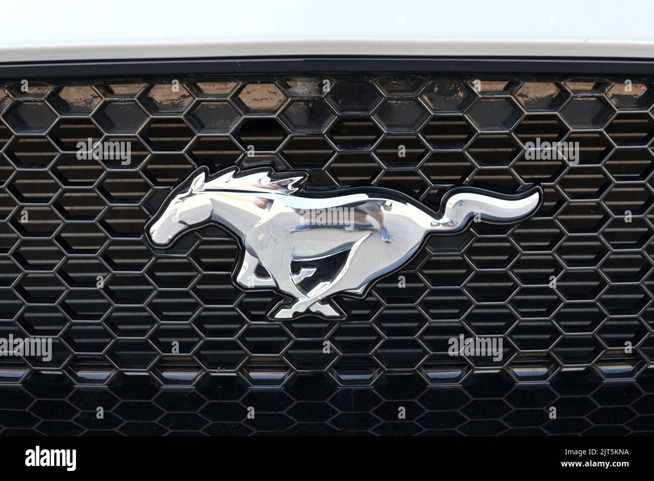 Ford Mustang Logo