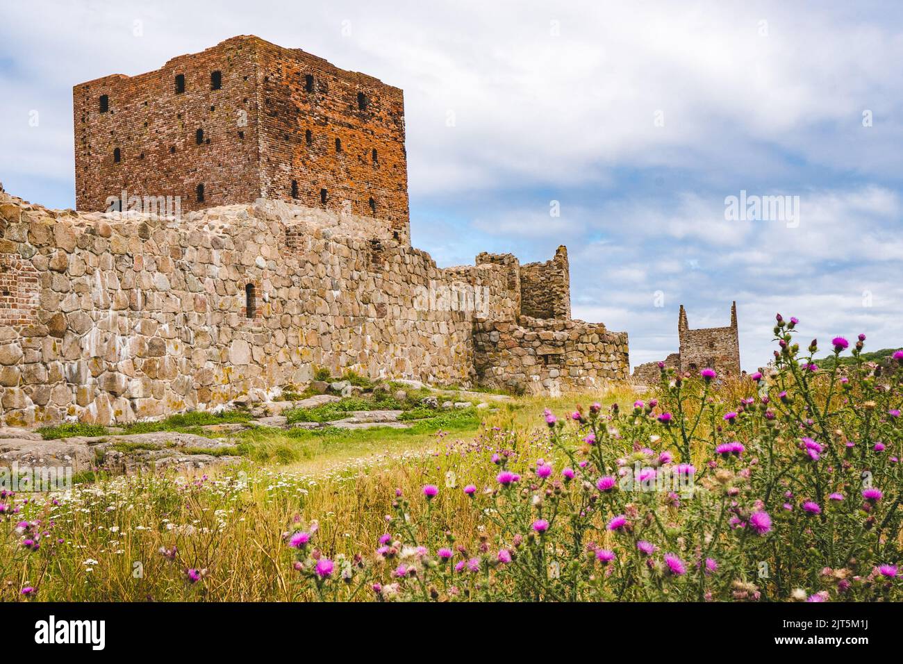 Ruins of the castle Hammershus on warm summer day on island Bornholm ...