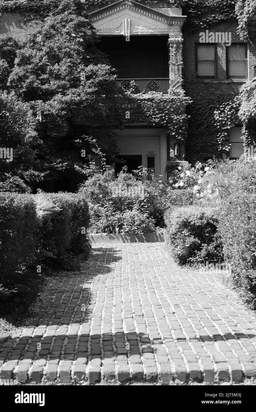 Beautiful overgrown summer courtyard with lots of ivy plants covering ...