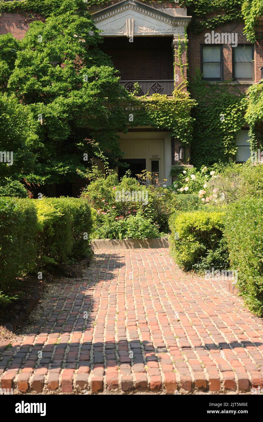 Beautiful overgrown summer courtyard with lots of ivy plants covering ...