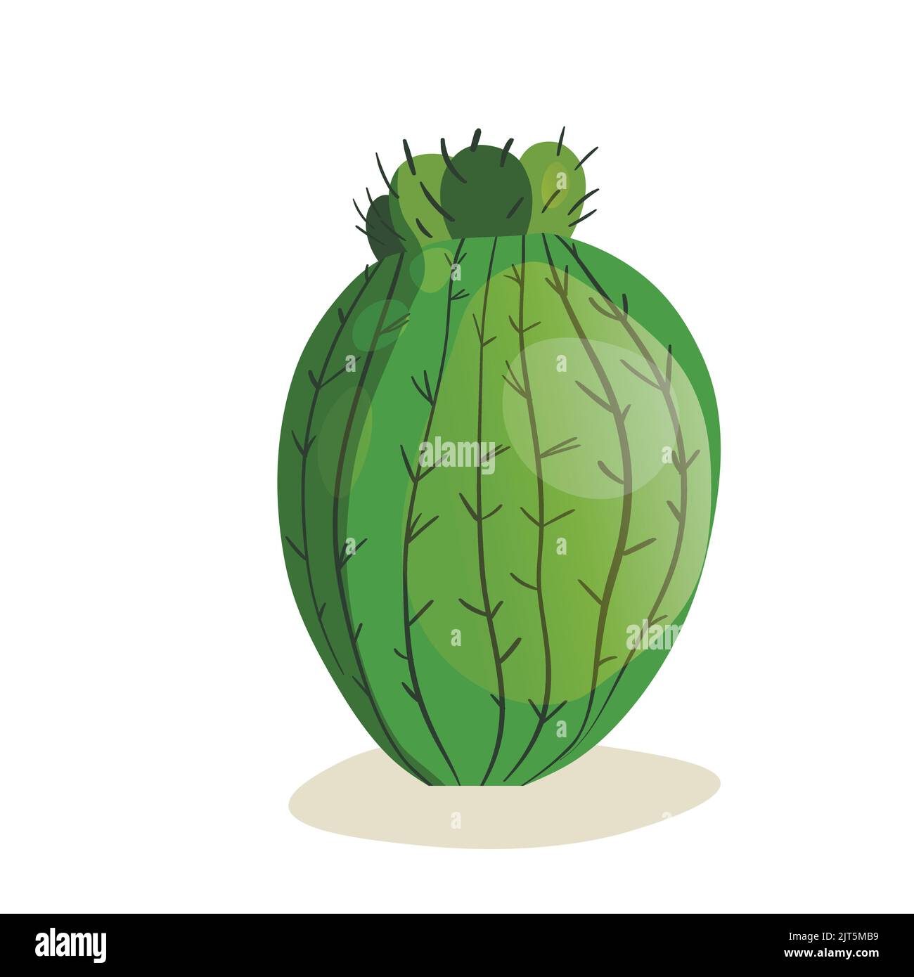 Tall succulent cactus with thorns isolated element. Vector drawing ...