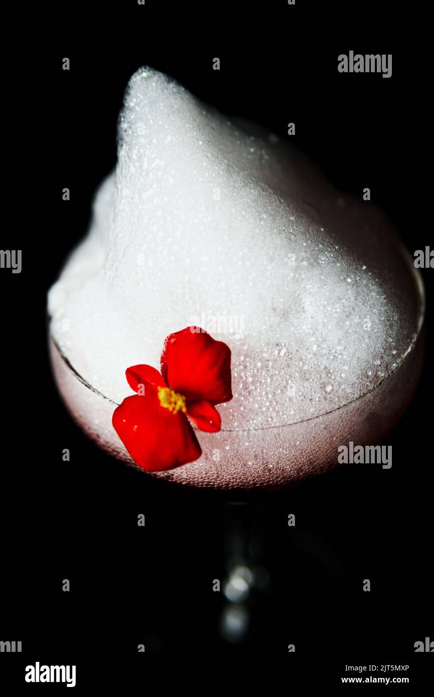 Alcoholic drink. A cocktail with elite alcohol on dark black background ...