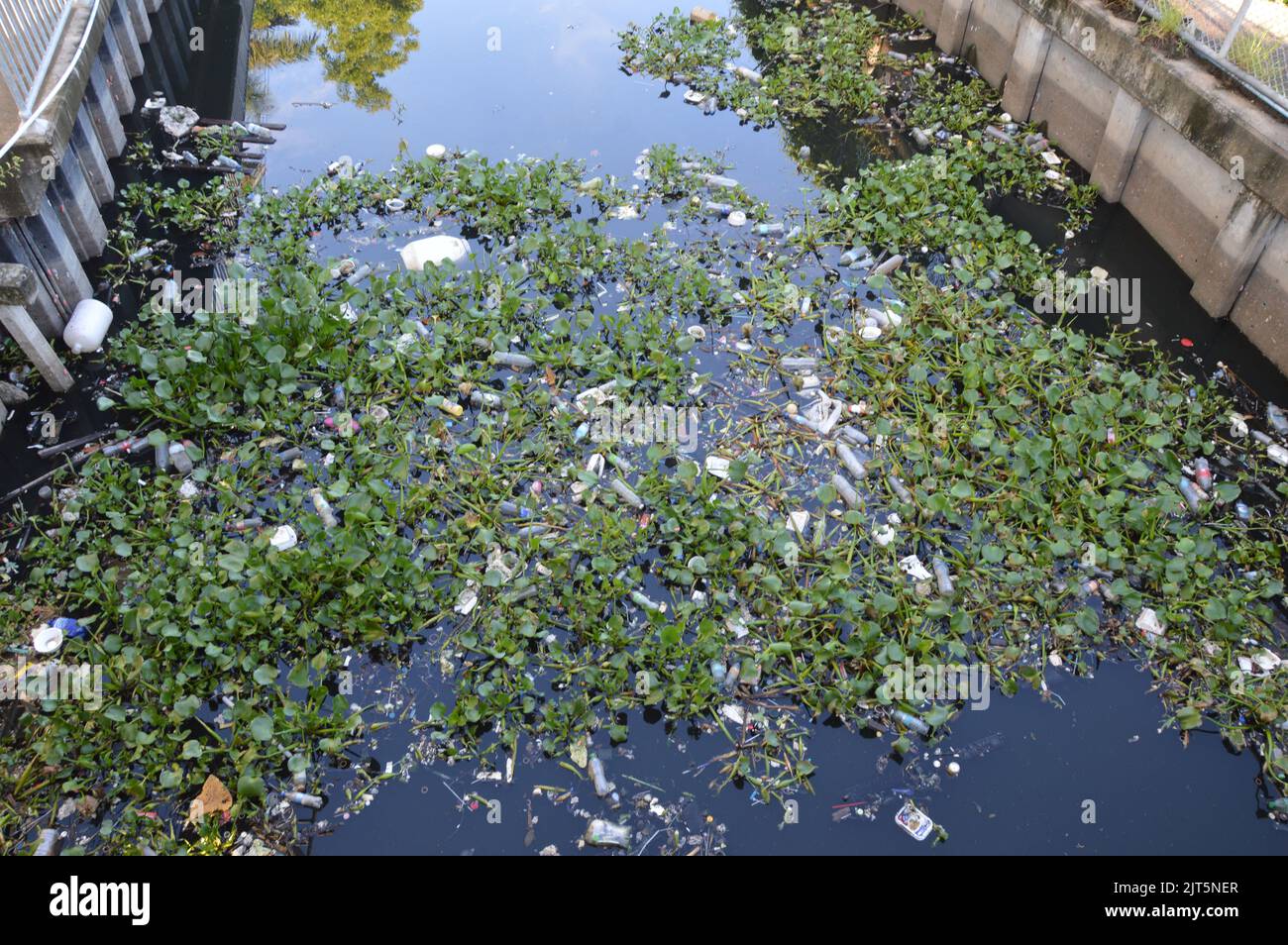 Garbage affecting the canal Stock Photo - Alamy