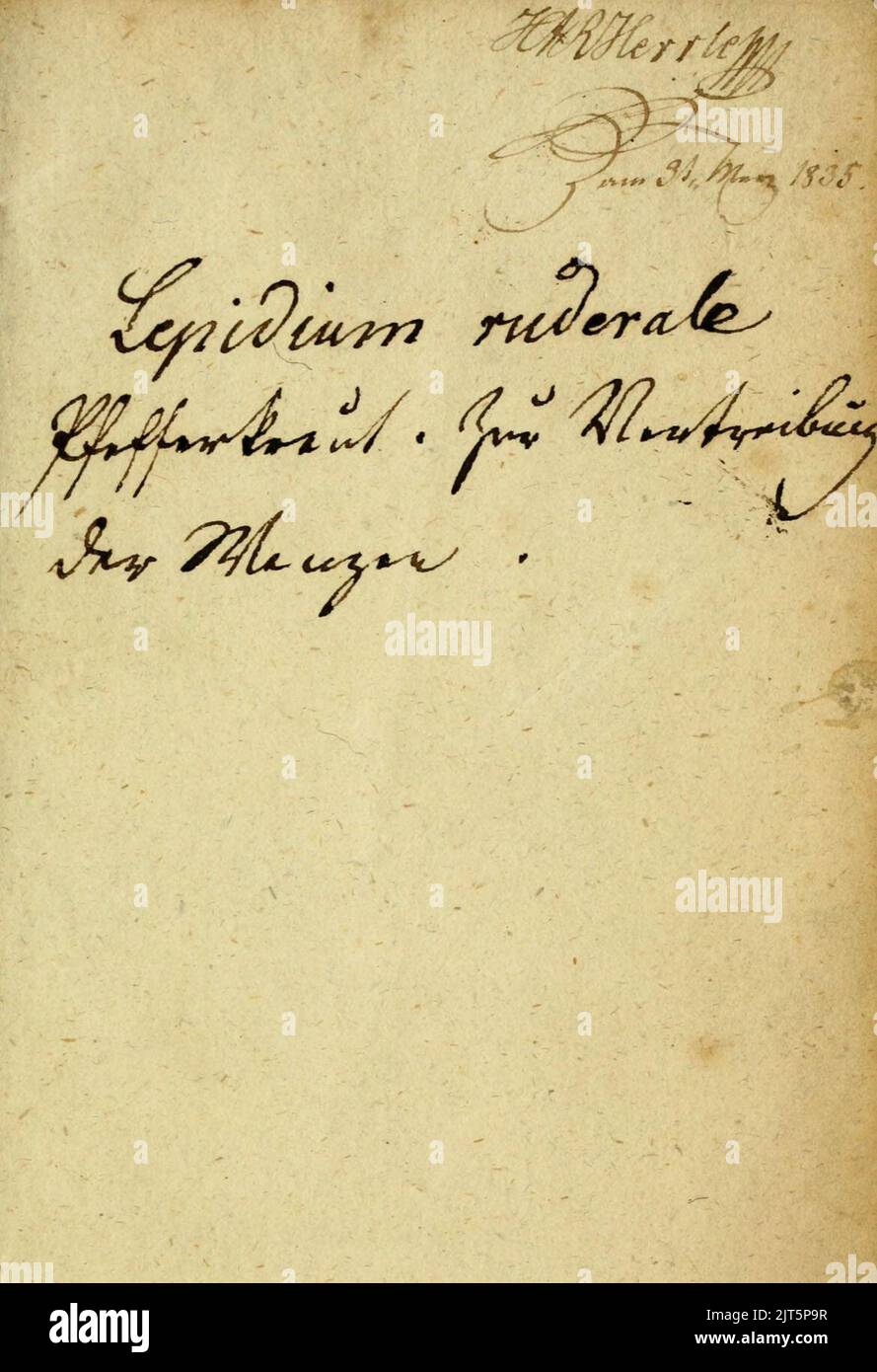 Ueber den Tastsinn der Schlangen Stock Photo - Alamy