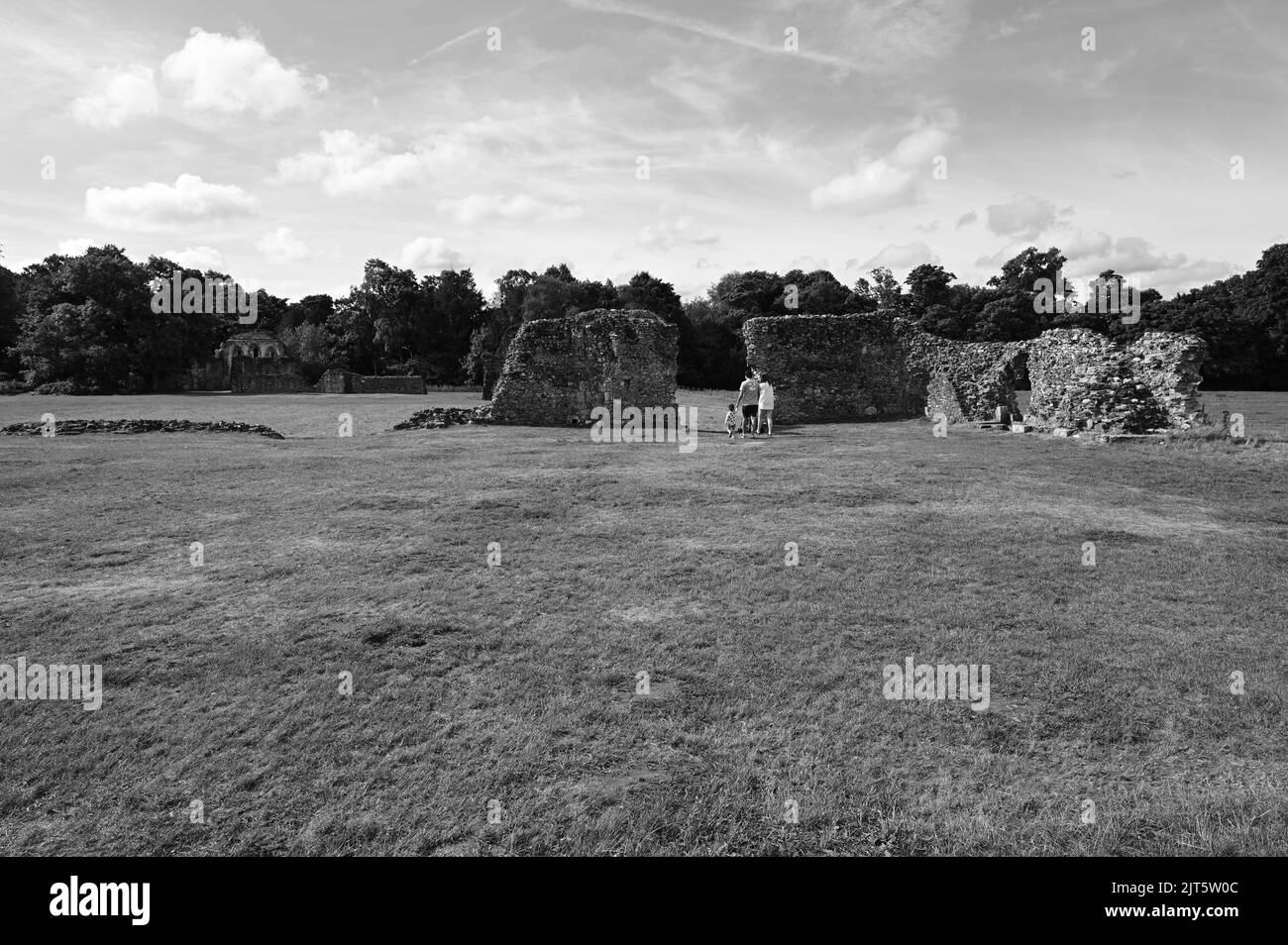 Stone ruins in forest Black and White Stock Photos & Images - Alamy