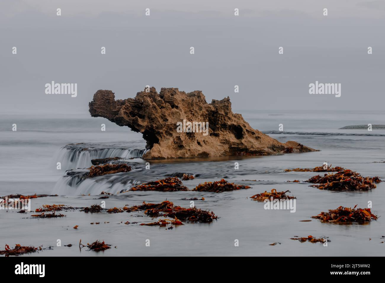 Dragon Head Rock on Mornington Peninsula Australia Stock Photo - Alamy