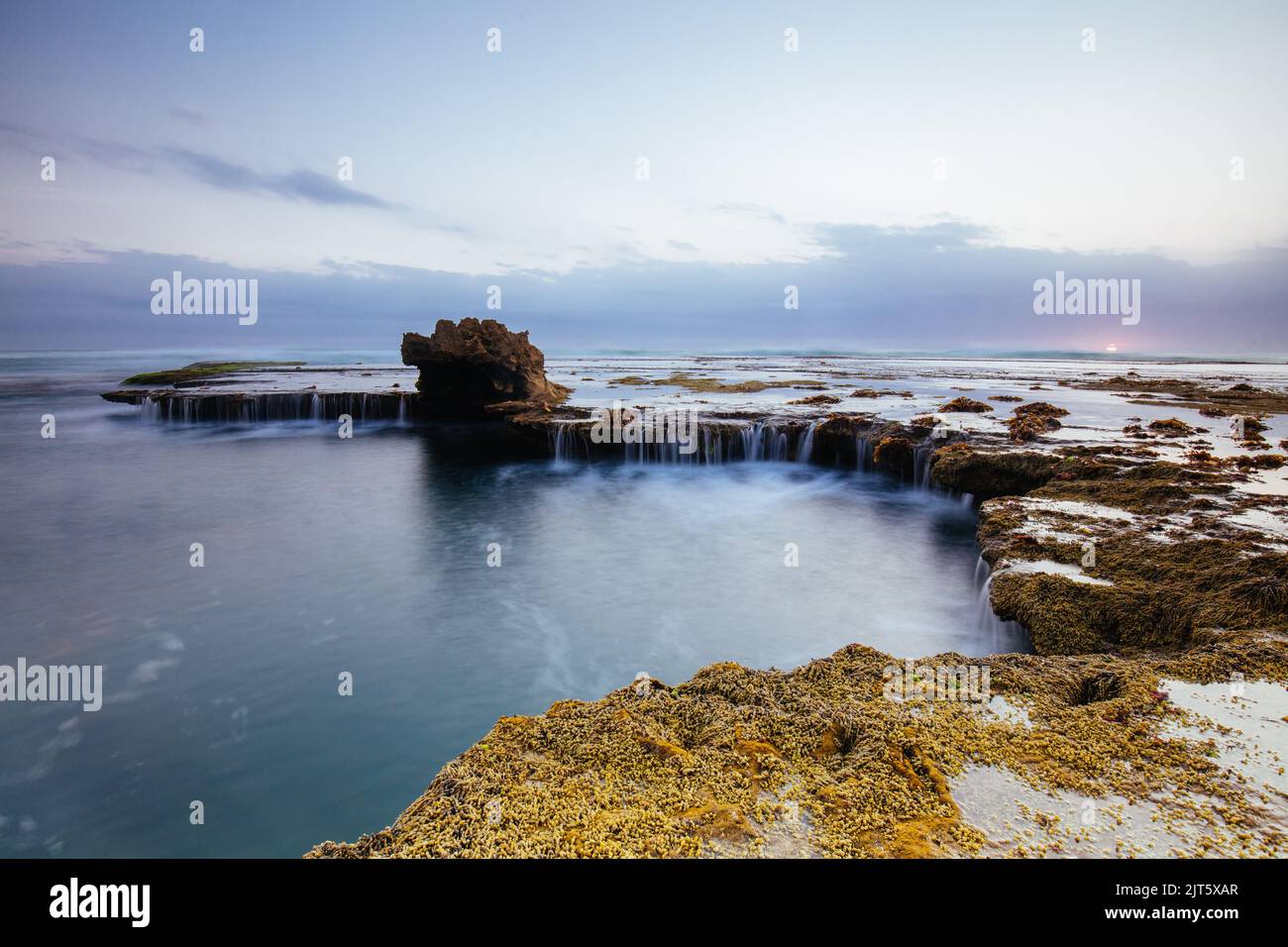 Dragon Head Rock on Mornington Peninsula Australia Stock Photo - Alamy