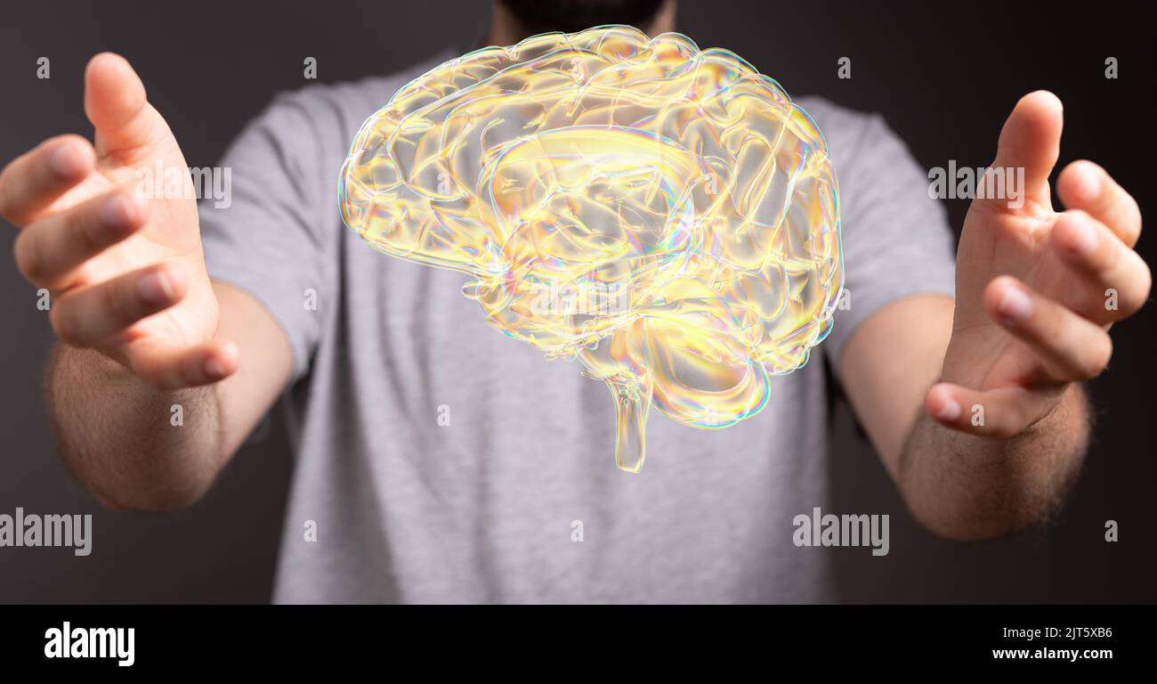 A 3D rendered human brain anatomical model hovering in mans hand Stock ...