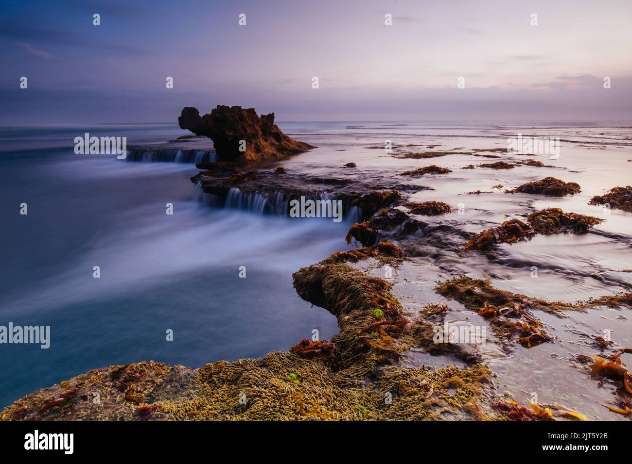 Dragon Head Rock on Mornington Peninsula Australia Stock Photo - Alamy