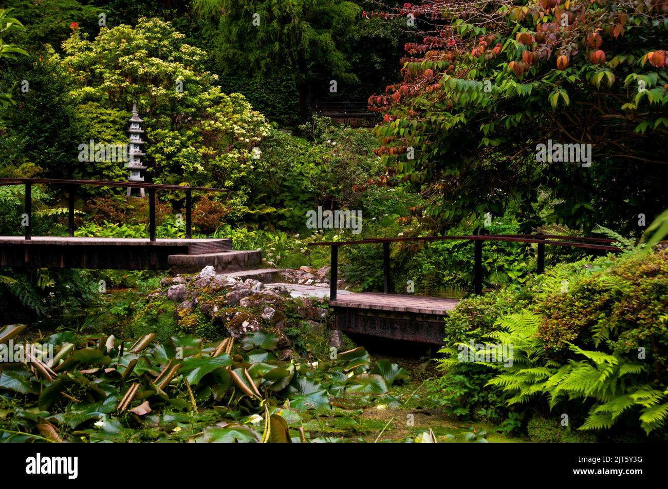 Japanese stone lanterns and bridges at Powerscourt Gardens in ...