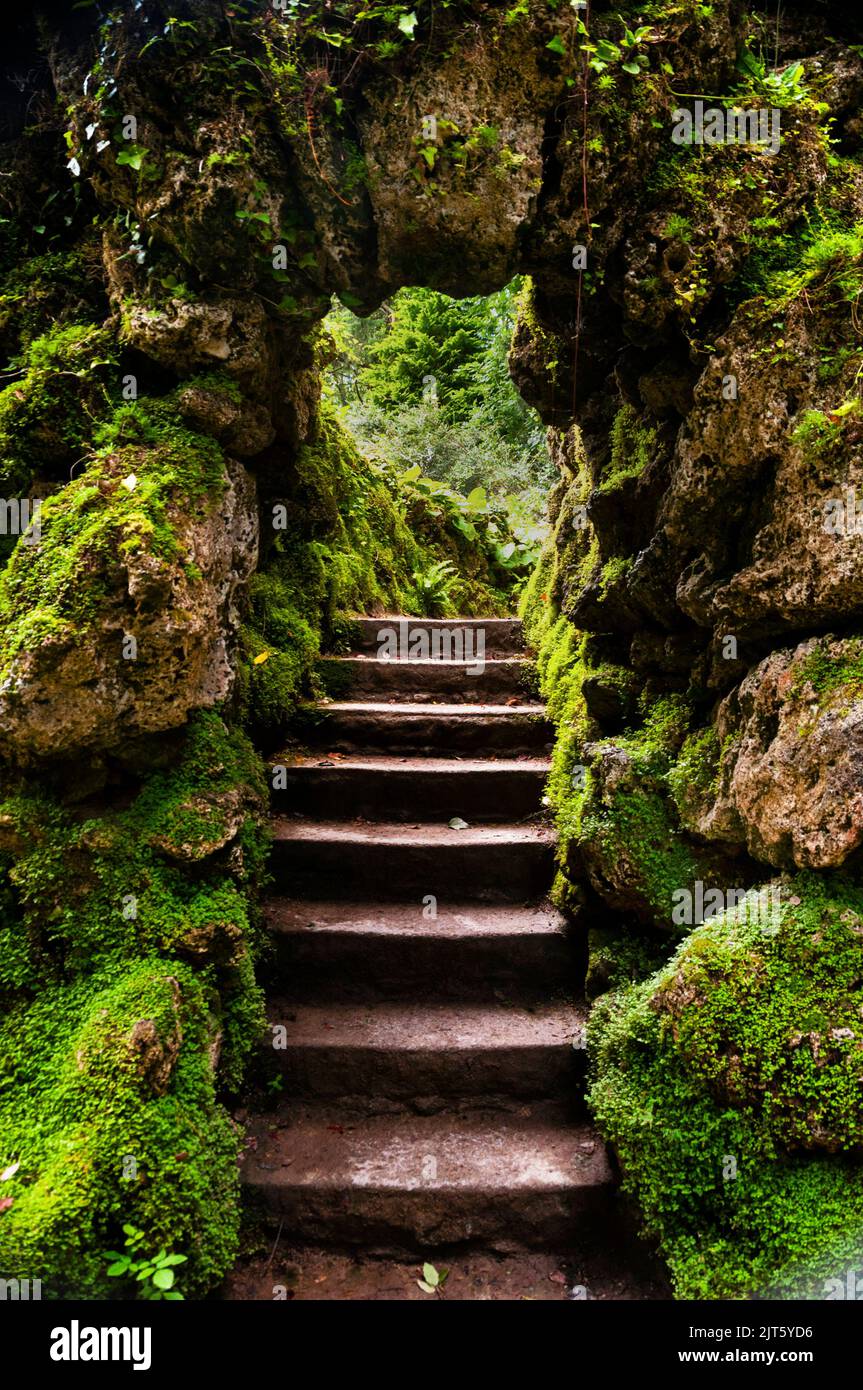 The Grotto at Powerscourt Gardens in Enniskerry, Ireland is made of ...
