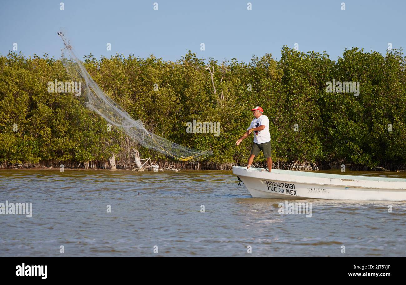 A Fisherman on his boat throwing the net in Rio Lagartos, Yucatan ...