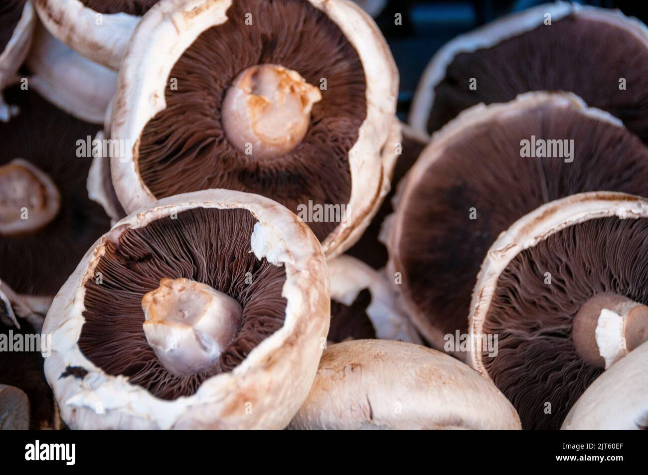Mushrooms at the Country Market in Enniskerry, Ireland Stock Photo - Alamy