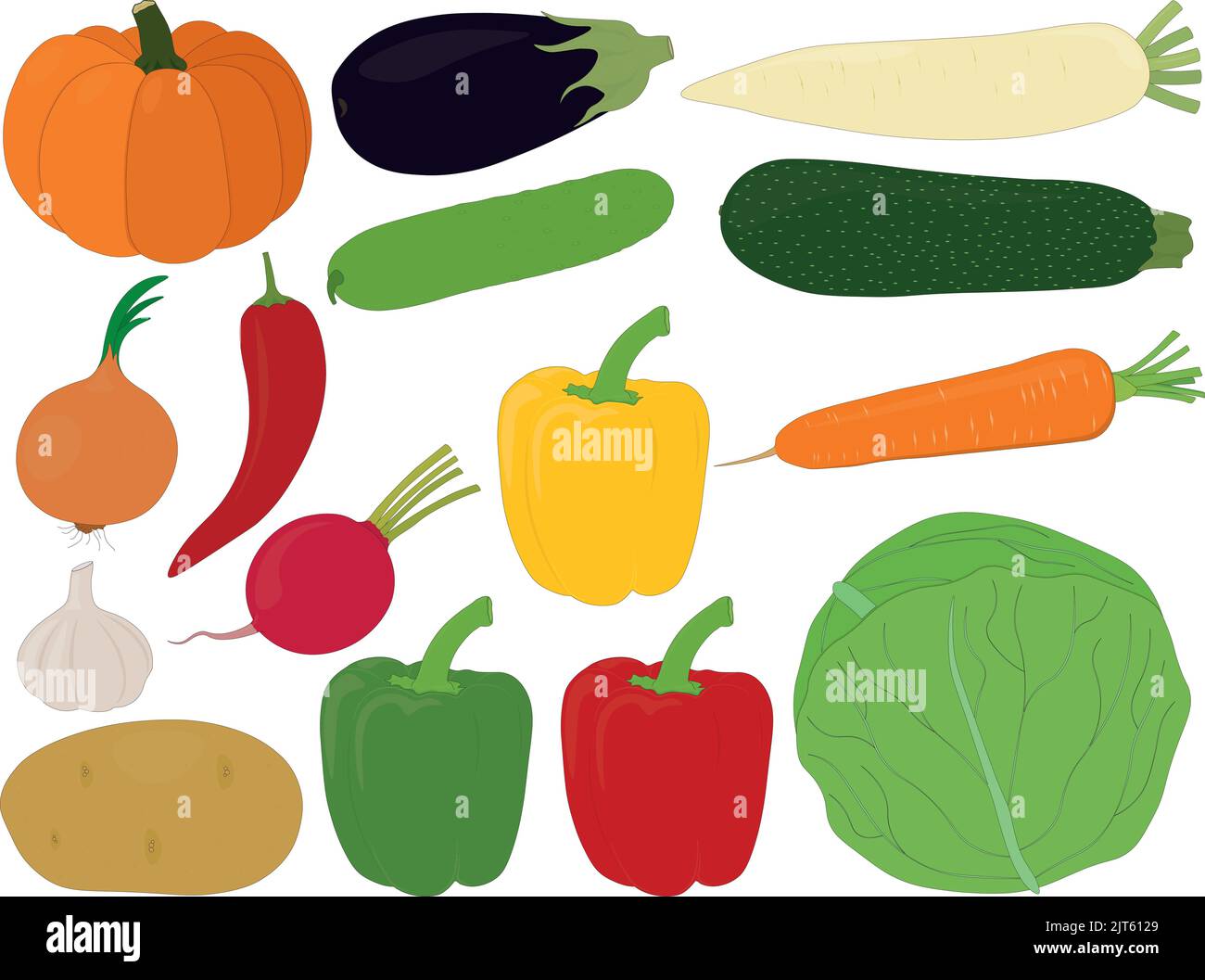 Various vegetables harvest collection vector illustration Stock Vector ...