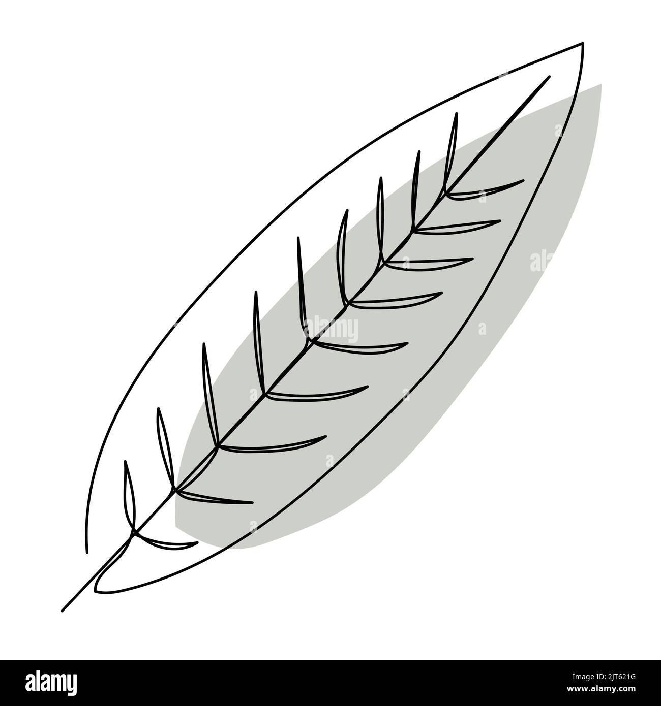 Plant leaves line art. Contour drawing. Minimalism art Stock Vector ...