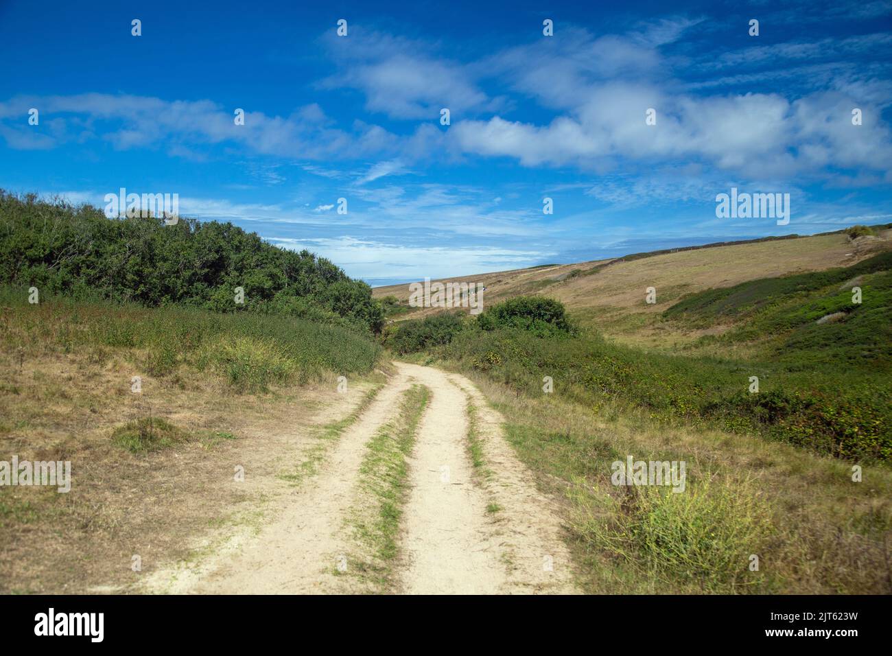 Polly Joke, Cubert Common, Cornwall, England, August 23rd 2022, a sandy ...