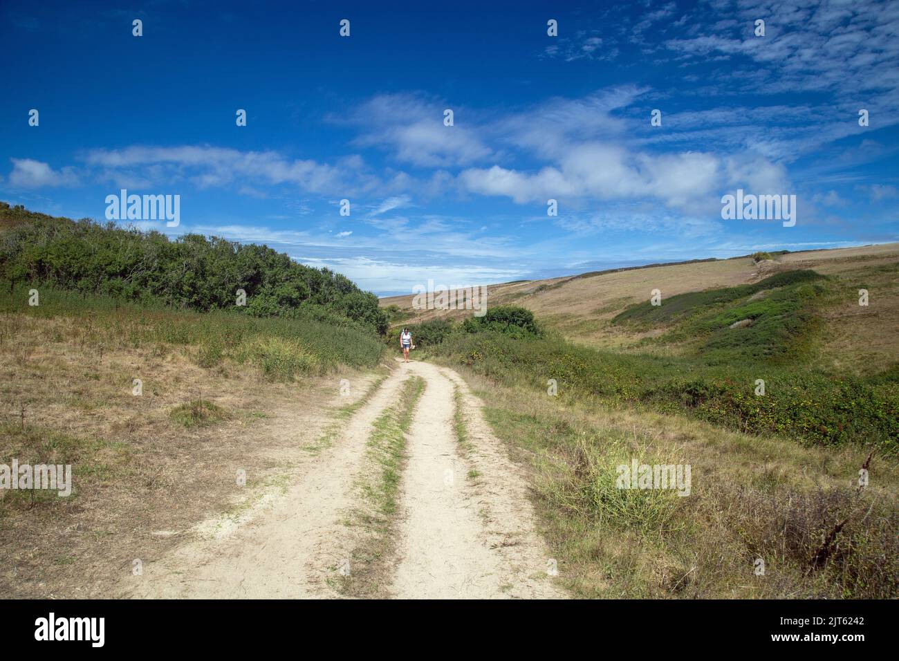 Polly Joke, Cubert Common, Cornwall, England, August 23rd 2022, a sandy ...