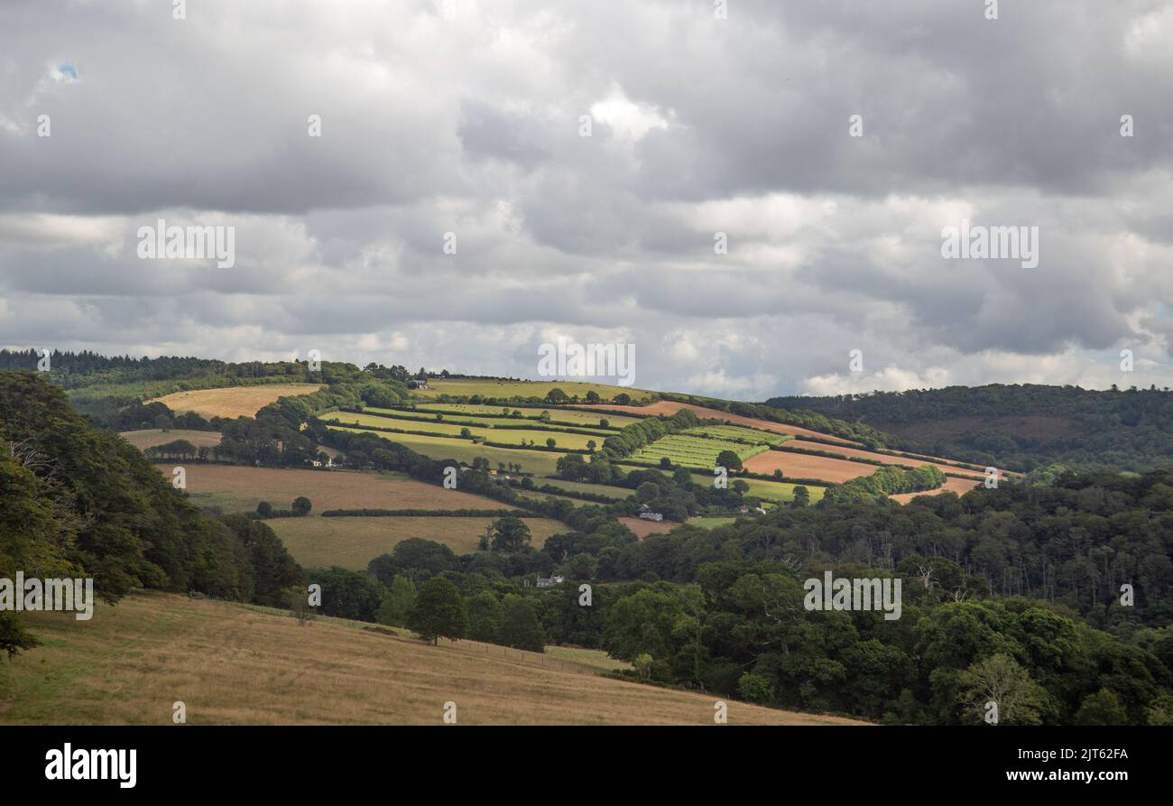 Sunny rural scene in Cornwall, England Stock Photo - Alamy