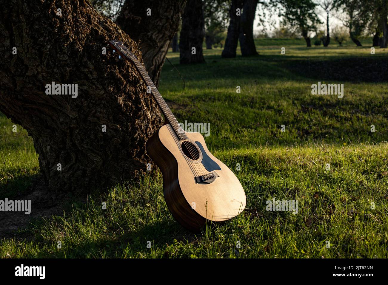 guitar on the gress Stock Photo - Alamy
