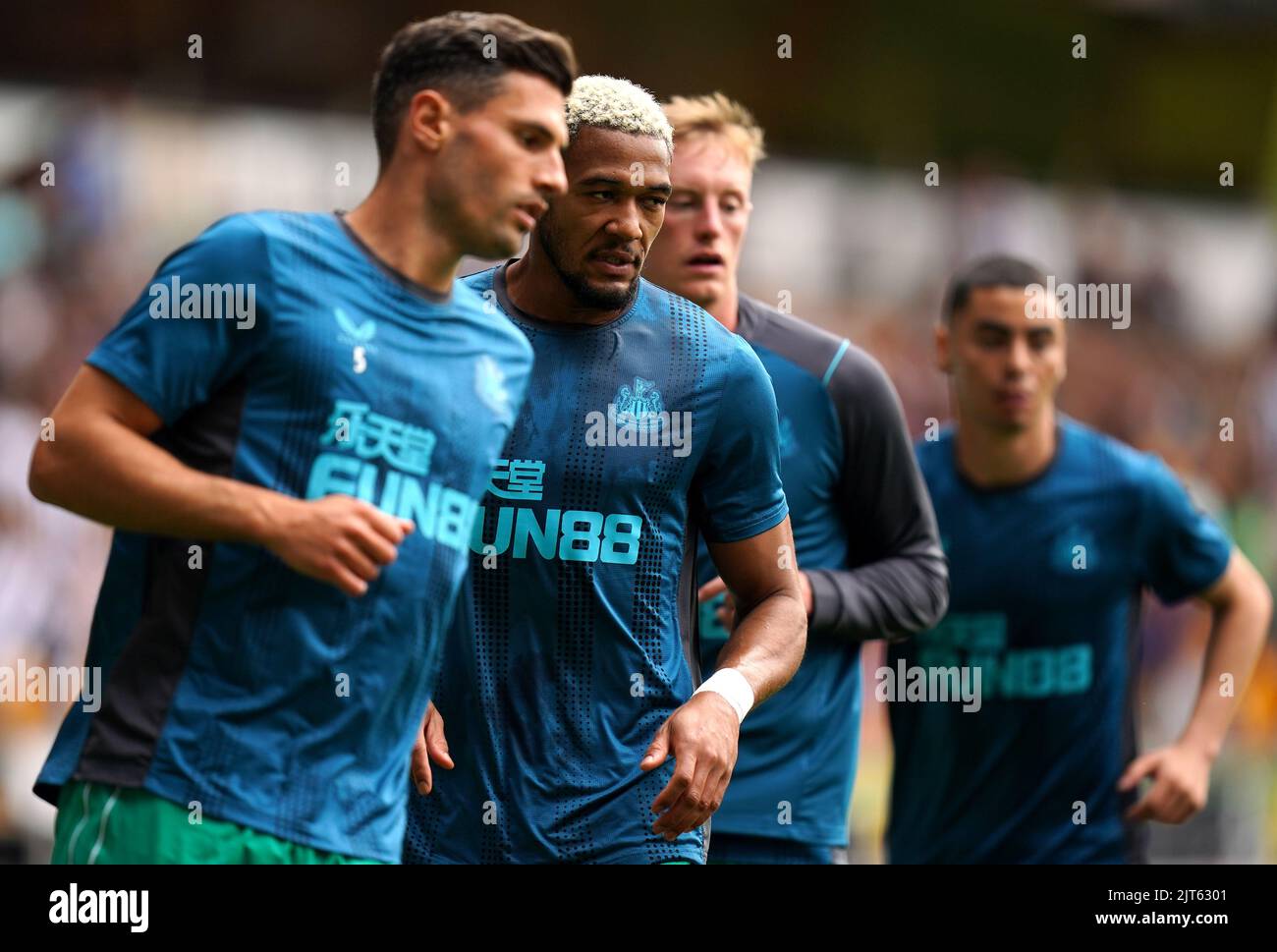 Schar wolves 2022 hi-res stock photography and images - Alamy