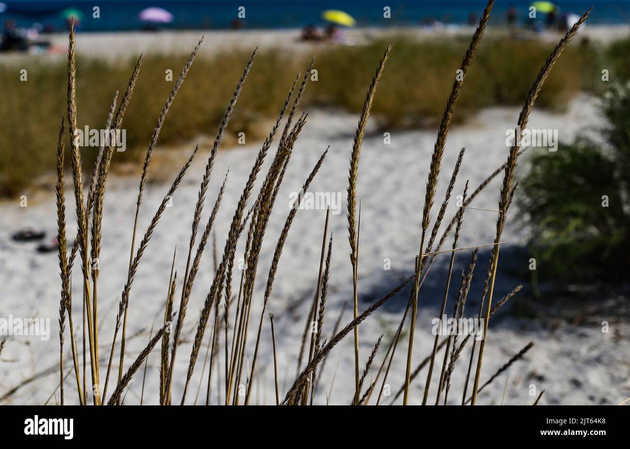 Corbu virgin beach in Romania Stock Photo - Alamy