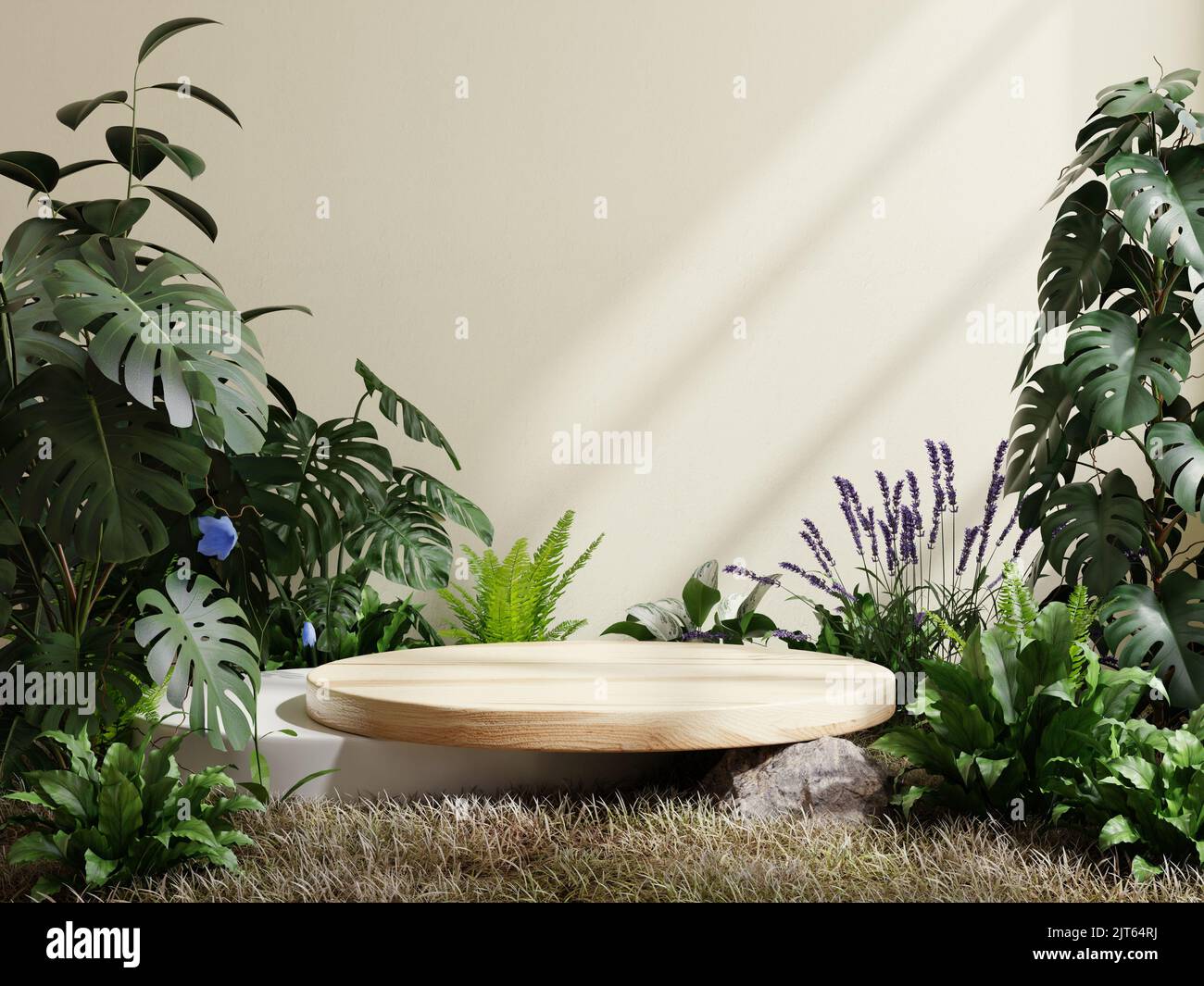 Circle wooden plinth in tropical forest for product presentation and ...