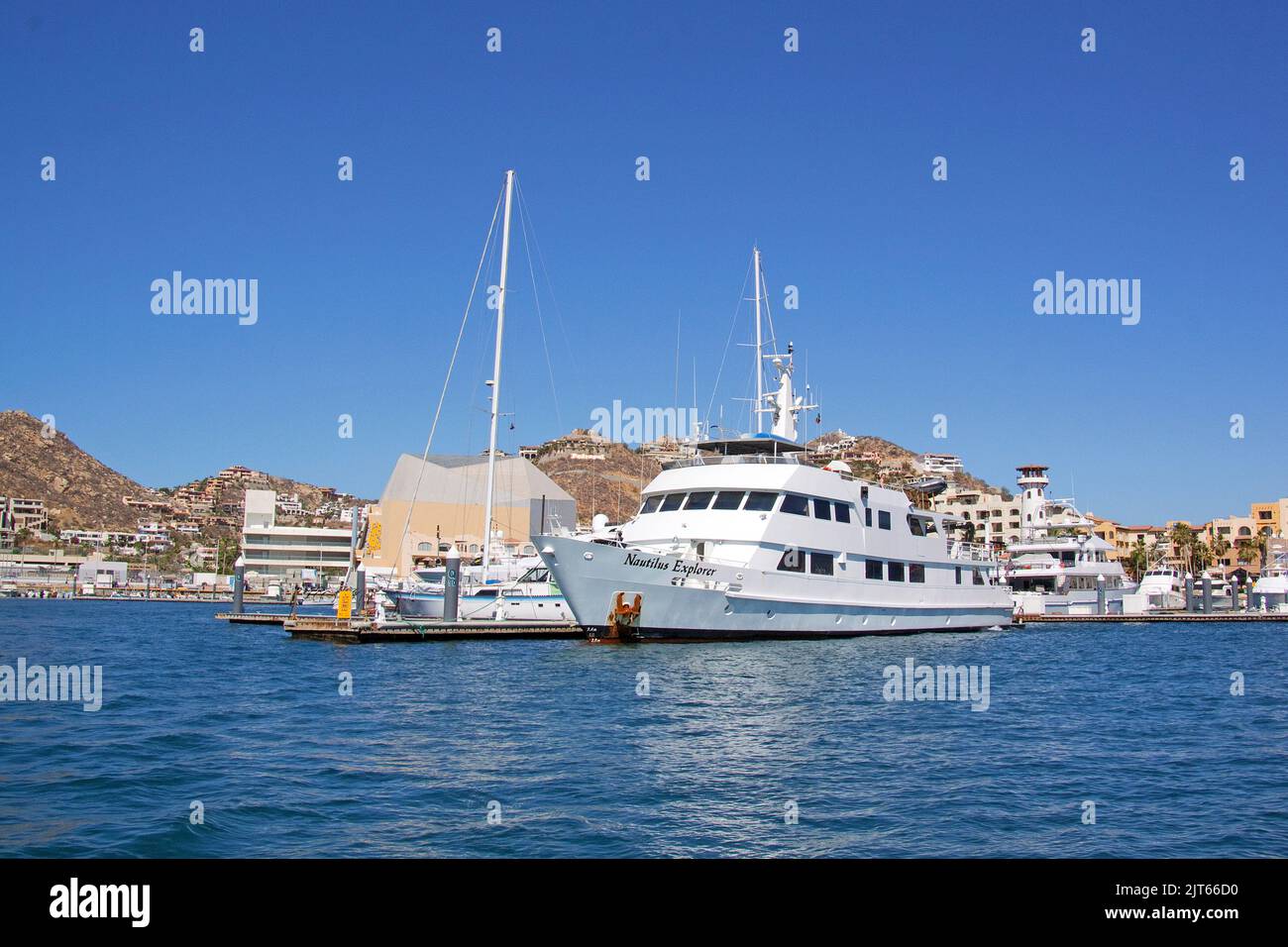 Liveaboard vessels iat the Marina of Cabo San Lucas, Cabo San Lucas ...