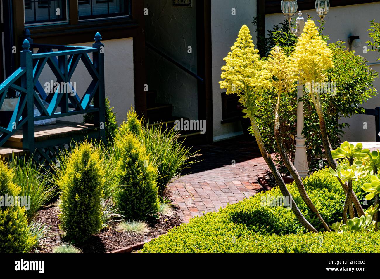 A natural view landscaped garden outside a house Stock Photo - Alamy