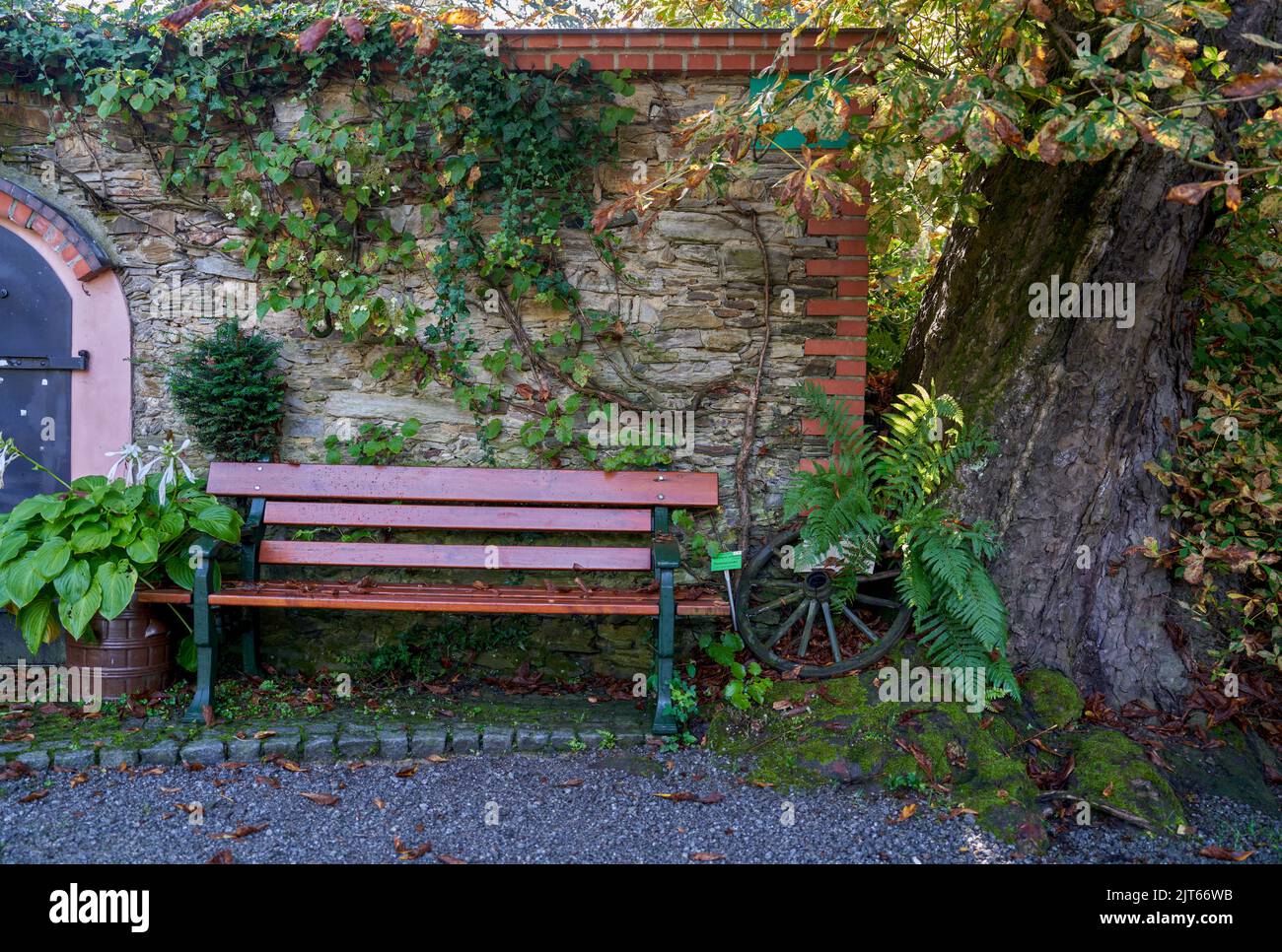 Arboretum Wojslawice Lower Silesia Poland Stock Photo - Alamy