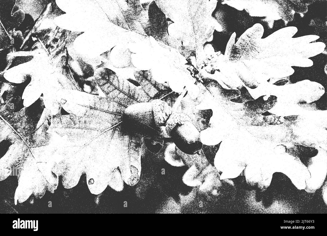 Distressed overlay wooden leaf macro texture with streaks. grunge black ...