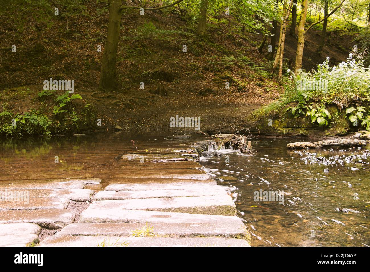A natural view of water running over concrete roadblocks in a forest ...