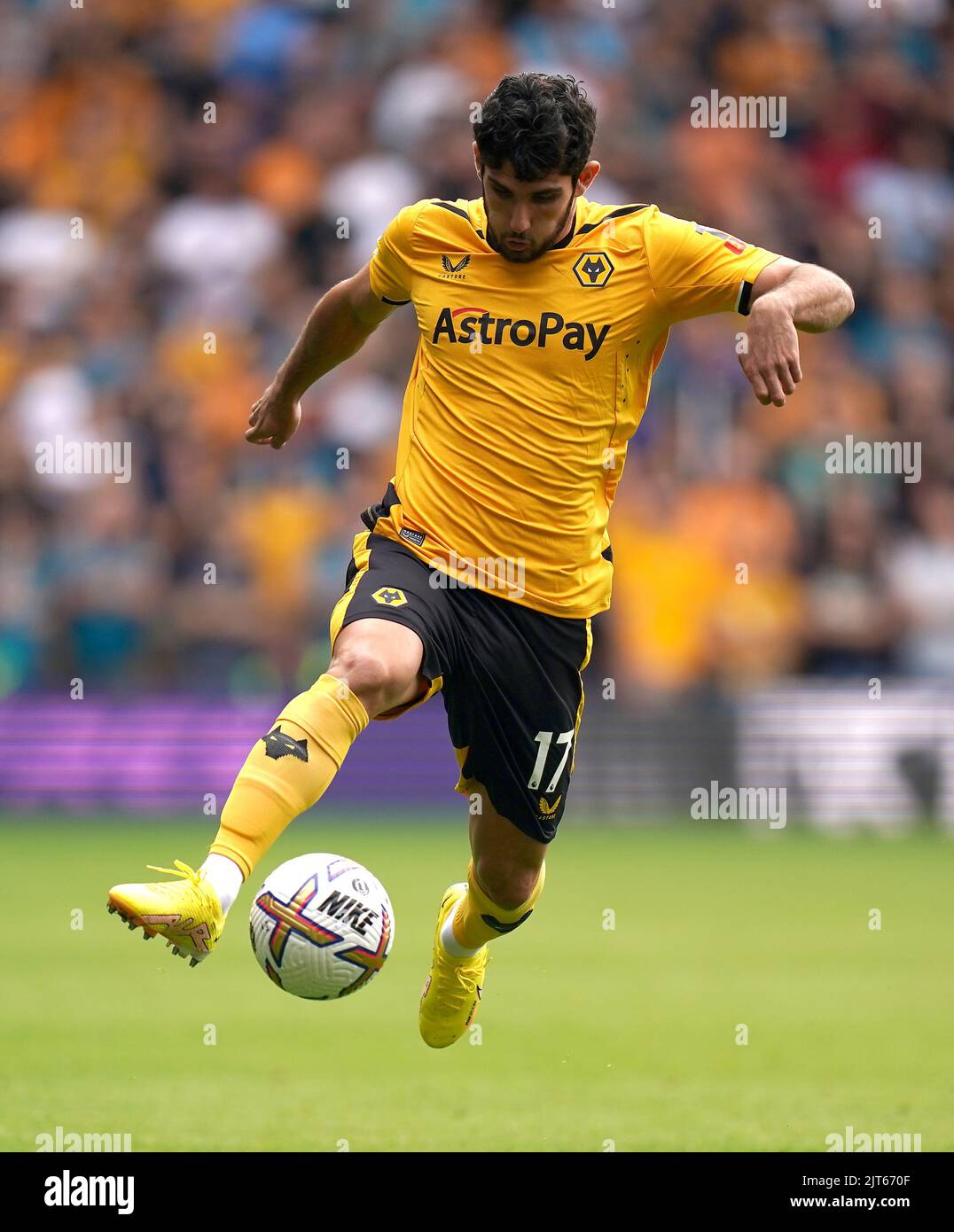 Goncalo guedes wolves hi-res stock photography and images - Alamy