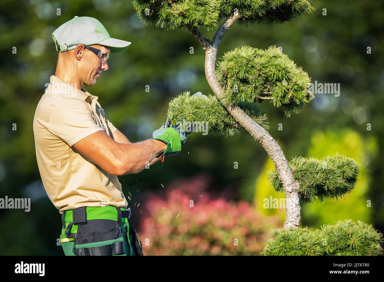 Caucasian Professional Garden Worker Trimming Decorative Tree Using ...